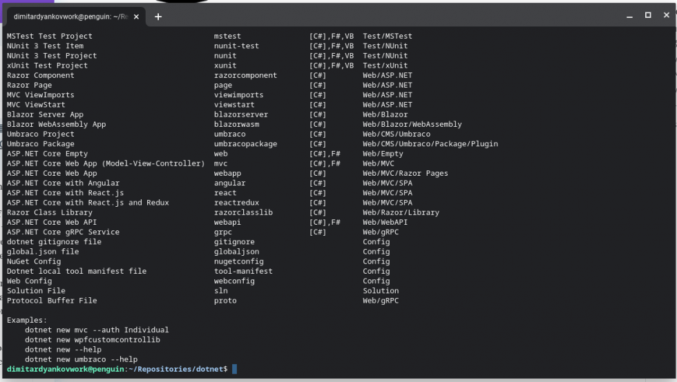 How To Create a .NET Core Web Project - The Coding Hub