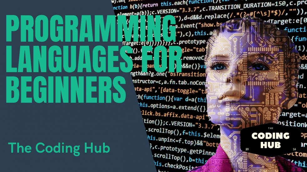Top 3 Programming Languages That Beginners Should Learn - The Coding Hub