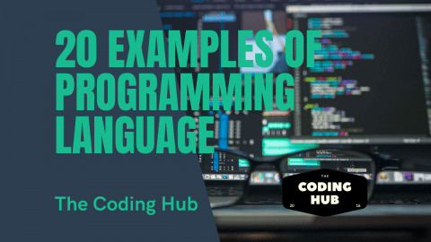 20 Examples Of Programming Languages - The Coding Hub
