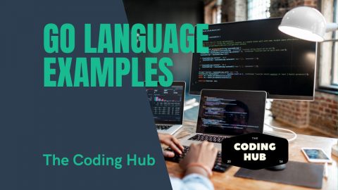 GO language examples - The Coding Hub